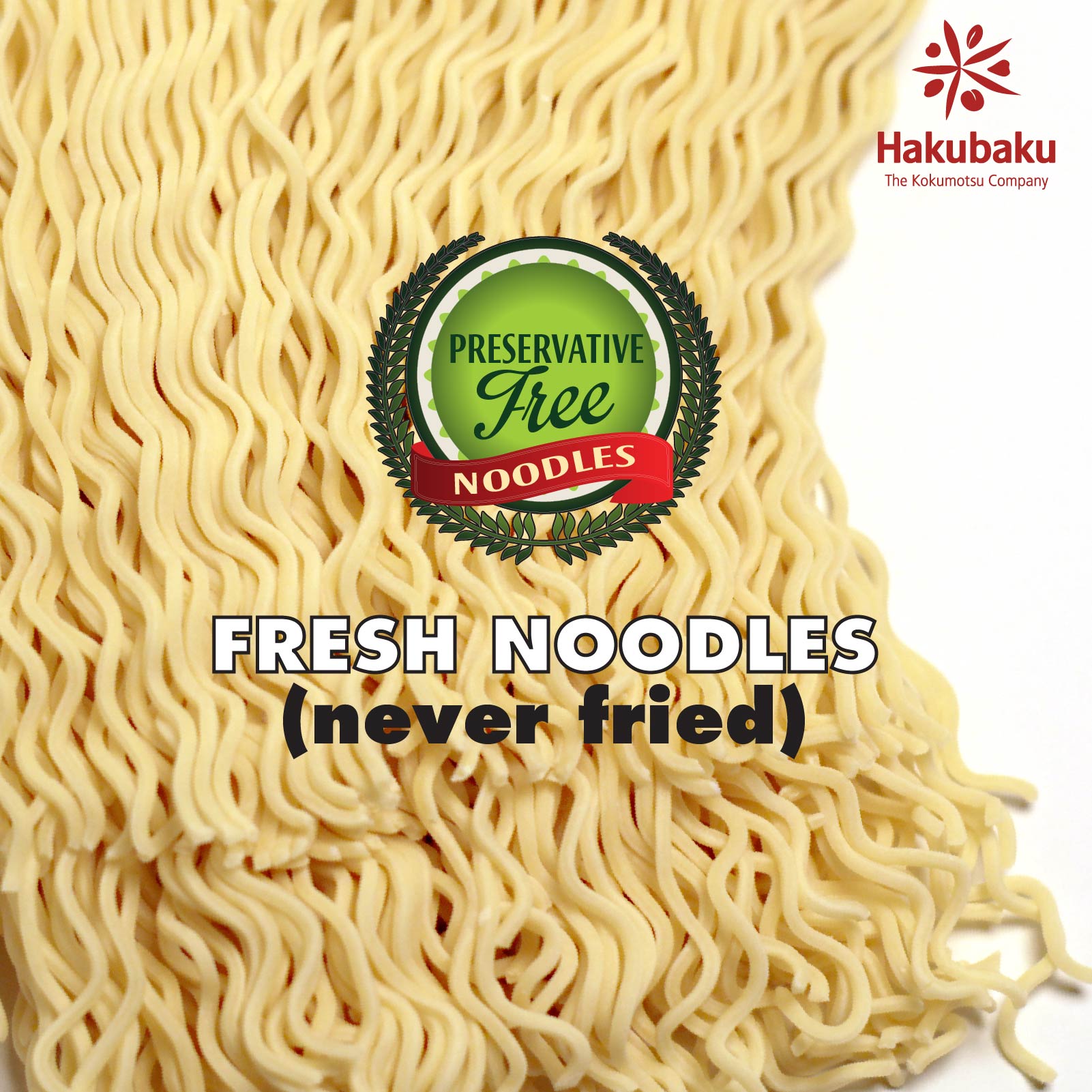 Hakubaku Ramen Kits - Hakubaku | Ramen, Soba, and Udon Noodles from Japan