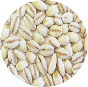 Different types of barley: "MOCHI MUGI (Glutinous barley)," "Pearled ...