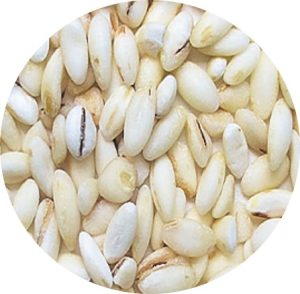 Different types of barley: "MOCHI MUGI (Glutinous barley)," "Pearled ...